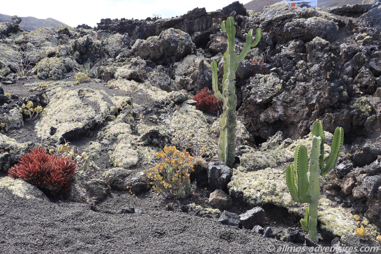 Mendig: Vulkanmuseum und Lavakeller - allmos-adventures.com